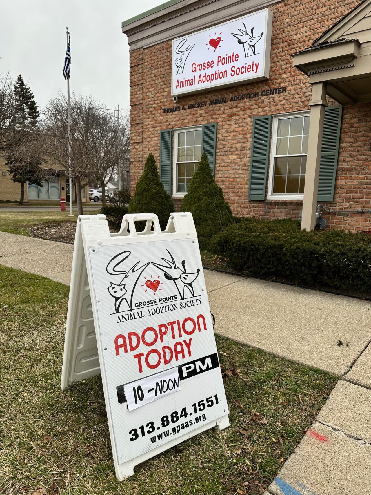 Transforming Melodies into Meows: The Story of Grosse Pointe Animal ...